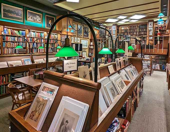 Those green banker's lamps aren't just for show; they illuminate treasures like your grandparents' reading room never could.