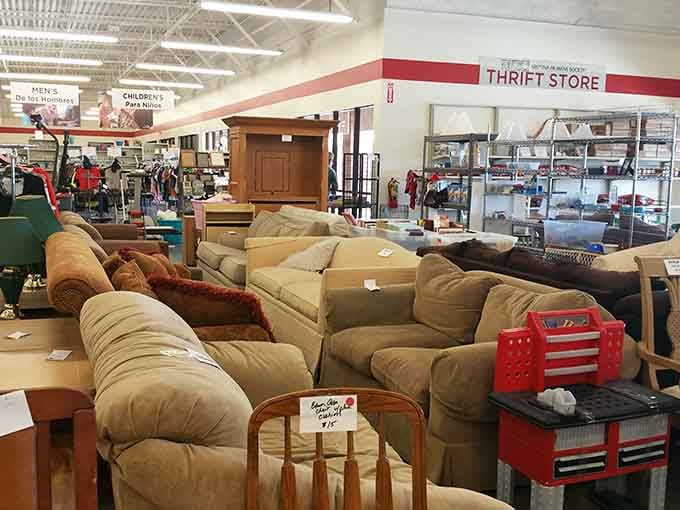 Rows of comfortable couches await new homes, proving one person's furniture upgrade becomes another's living room dream.