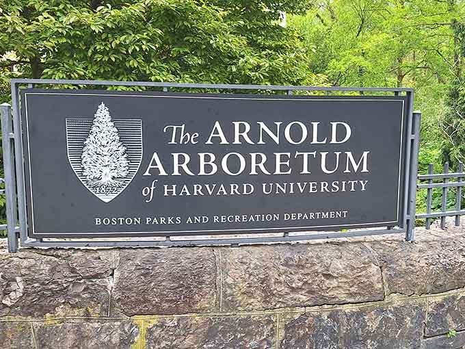 This sign isn't just welcoming you to a park, it's your golden ticket to Harvard's outdoor classroom minus tuition.