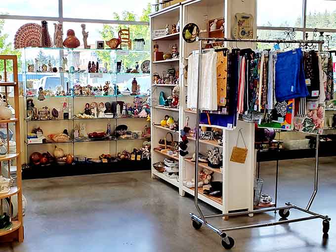 Shelves brimming with collectibles and clothing racks bursting with possibilities create a visual feast for dedicated thrifters.