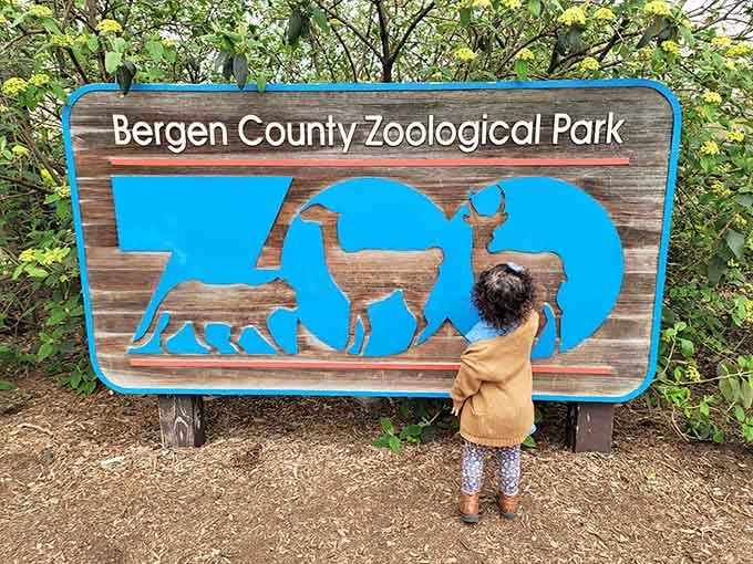 When even the toddlers are excited about the zoo sign, you know you're onto something special.
