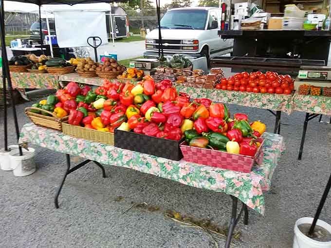 Bell peppers so vibrant they make a box of crayons jealous, plus tomatoes that actually remember what sunshine tastes like.