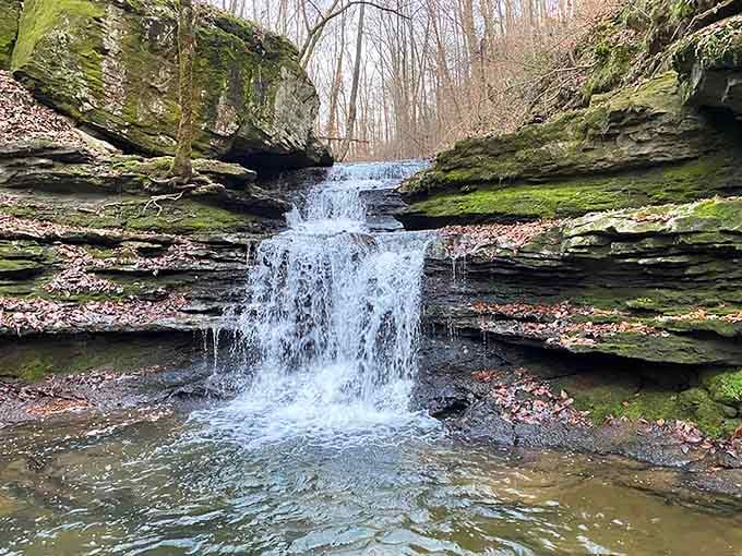 This waterfall cascades over ancient rock layers like nature's own staircase, proving Alabama does elegant better than most.