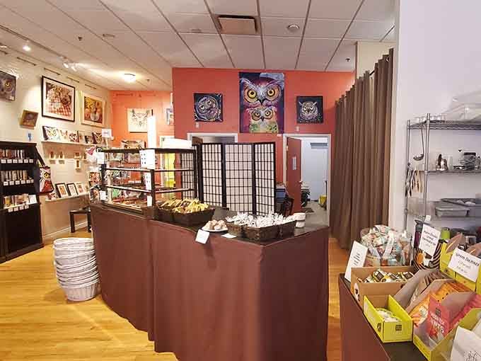 Colorful owl art and warm coral walls create a whimsical atmosphere where serious chocolate magic happens daily.