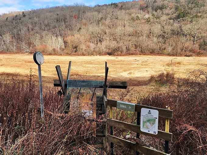 Your adventure begins here, where civilization politely steps aside and lets the wilderness take over completely.