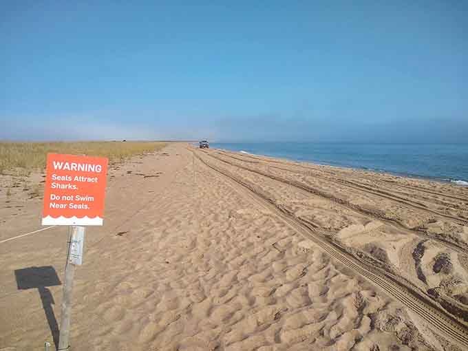 That warning sign isn't kidding around, proving even paradise has house rules worth following for everyone's safety.