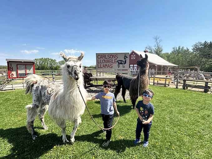 Two young adventurers discover that llamas make surprisingly excellent photo companions, even if they photobomb a little.