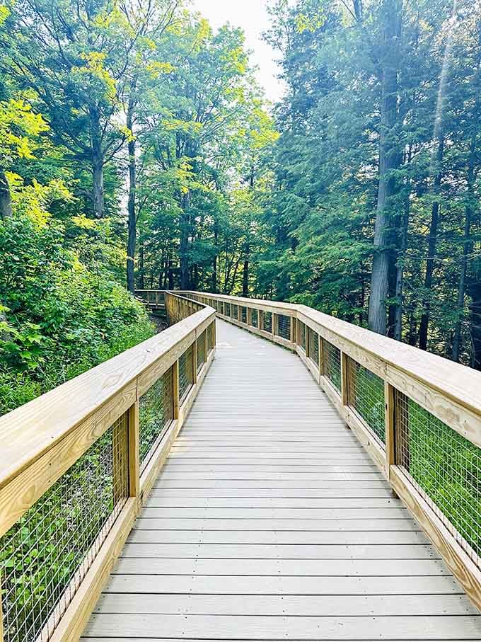 This boardwalk through the canopy feels like the yellow brick road, except it leads to waterfalls instead of wizards.