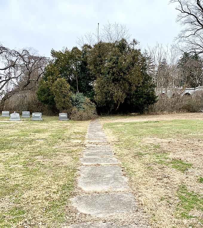 This weathered stone pathway leads somewhere worth going, inviting contemplation with every step you take forward.