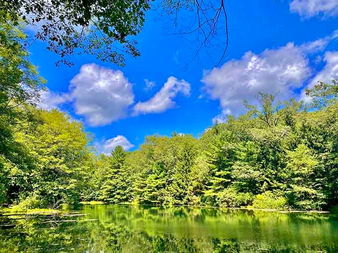 Mother Nature showing off with her best Photoshop filter, except this one's completely real and free.