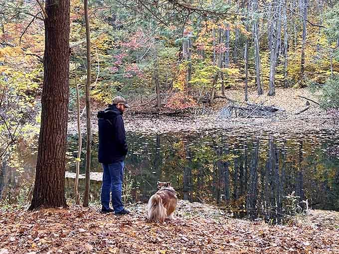 Man's best friend approves of this waterside contemplation spot, tail wags confirm five stars.