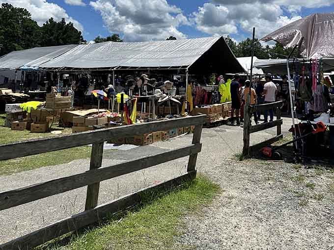 The outdoor vendor area buzzes with weekend energy, where serious shoppers hunt deals under sunny skies.
