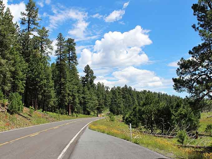When the road ahead looks like a postcard, you know you've found Arizona's best-kept secret.