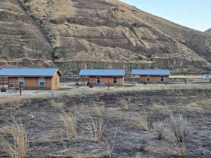 These cozy cabins offer front-row seats to canyon sunsets without requiring you to pitch a tent or sleep on rocks.