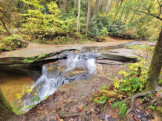 Nature's version of a gentle cascade, proving that waterfalls don't need drama to be absolutely stunning.