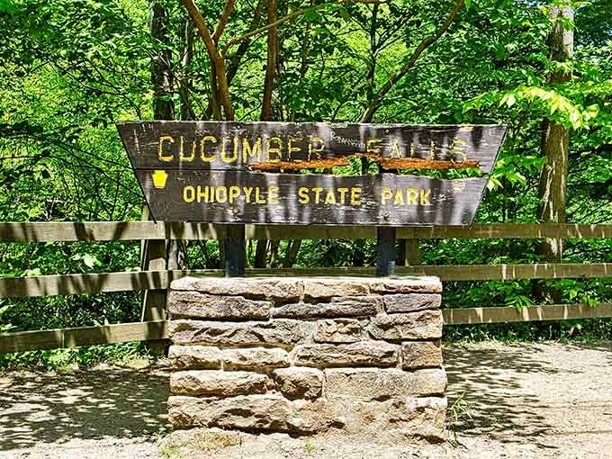 The sign promises waterfalls, and unlike most promises in life, this one actually delivers beautifully.