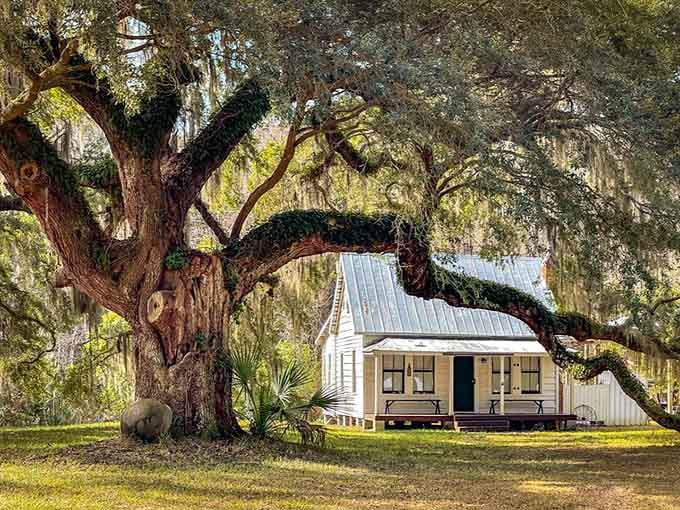 Time stands still beneath these ancient oaks, where history whispers through Spanish moss and weathered wood tells countless stories.