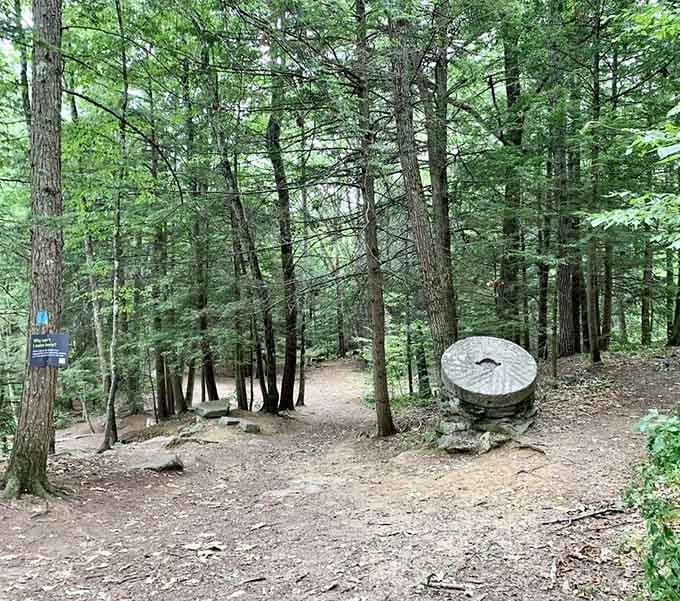 The forest path that makes you forget you're still in Massachusetts, not Middle-earth.