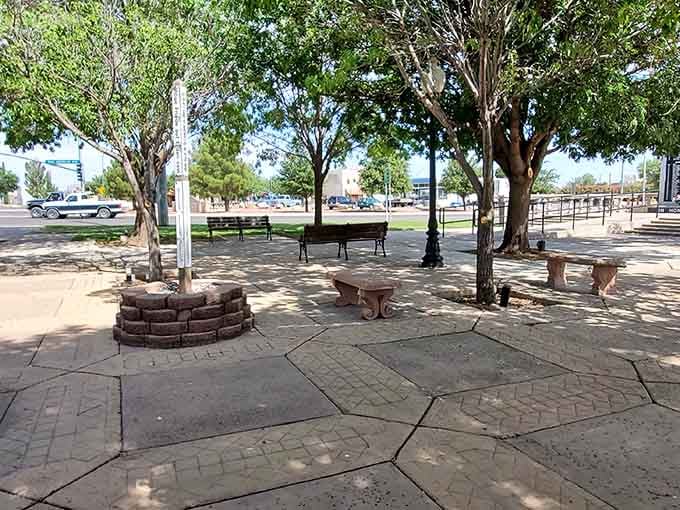 Shaded benches under real trees prove that public spaces don't need fancy installations to be genuinely inviting.