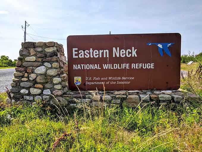 That brown sign with the flying geese logo is your gateway to peace, quiet, and approximately infinite birds.