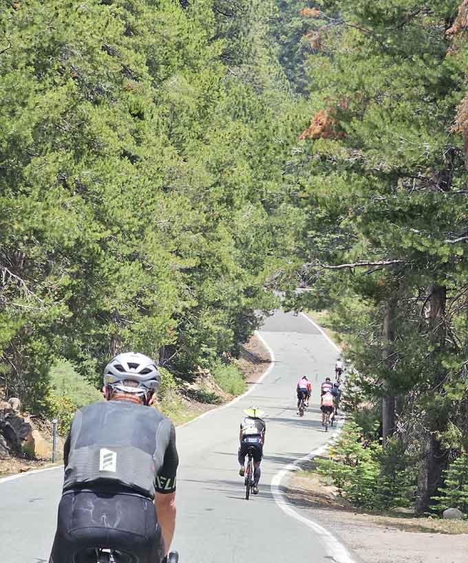 These cyclists are either incredibly fit or slightly unhinged, tackling grades that make your gym's StairMaster look adorable.
