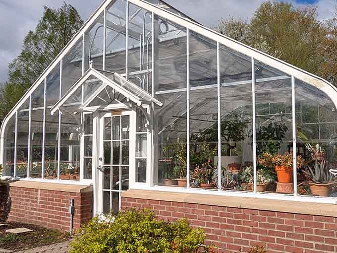 The greenhouse keeps tropical plants cozy while Connecticut winters rage outside like an angry relative.