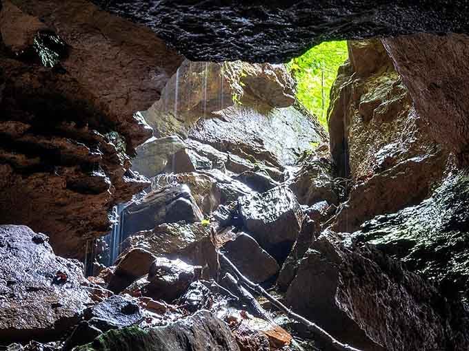 When sunlight filters into Ellison's Cave, it creates a scene straight out of an adventure movie.