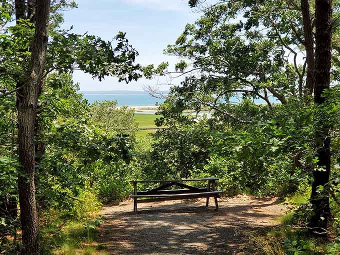 This bench offers front-row seats to Cape Cod Bay's greatest show, and the ticket price is absolutely free.