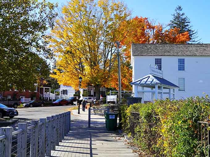 Fall foliage in Essex turns every sidewalk stroll into a Hallmark movie you're actually living in.