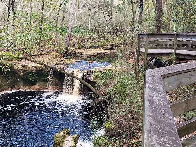 The wooden observation deck gives you front-row seats to nature's own perpetual motion machine in action.