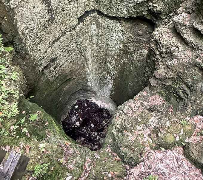 That's the sinkhole where the waterfall disappears, looking like nature's own drain that forgot to include plumbing instructions.