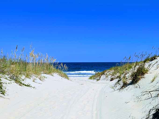 Your private slice of Atlantic coastline awaits beyond those dunes, no velvet rope required.
