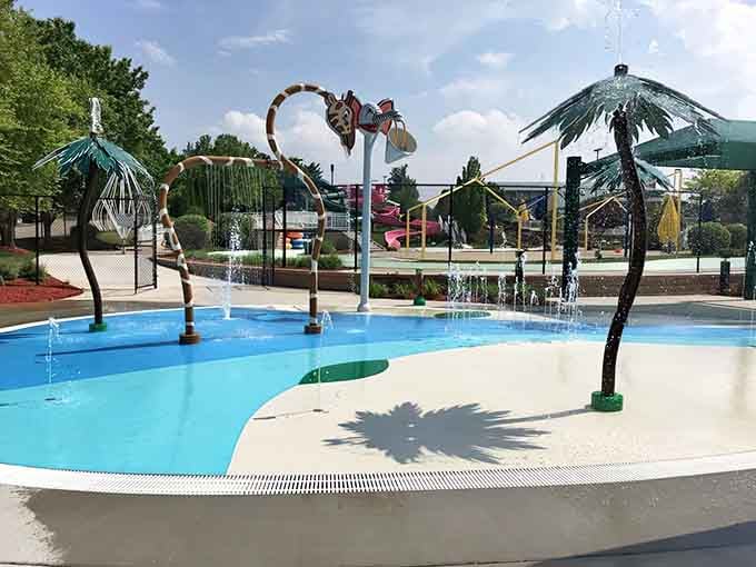 Those palm tree sprays bring tropical vibes to Missouri without the expensive airfare or questionable resort buffets.