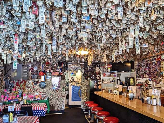 When the ceiling is literally made of money, you know you've found something special and wonderfully bizarre.