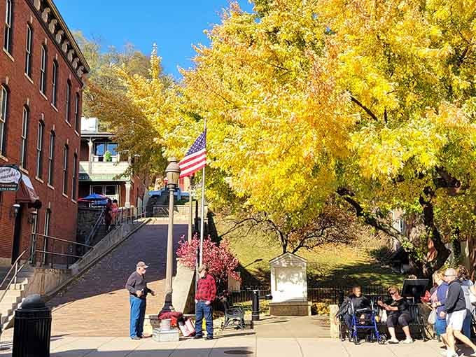 Those golden trees frame Main Street like nature's own Instagram filter, only this one's completely real and free.