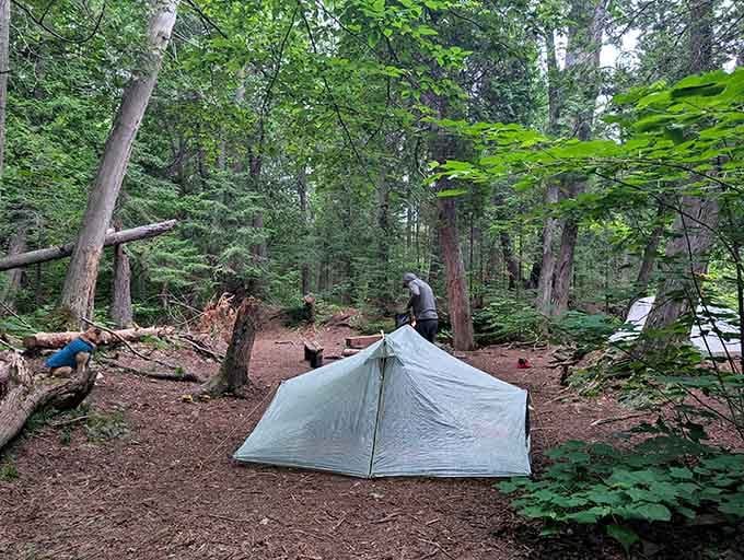 Your tent becomes a front-row seat to nature's greatest show in this pristine backcountry campsite.