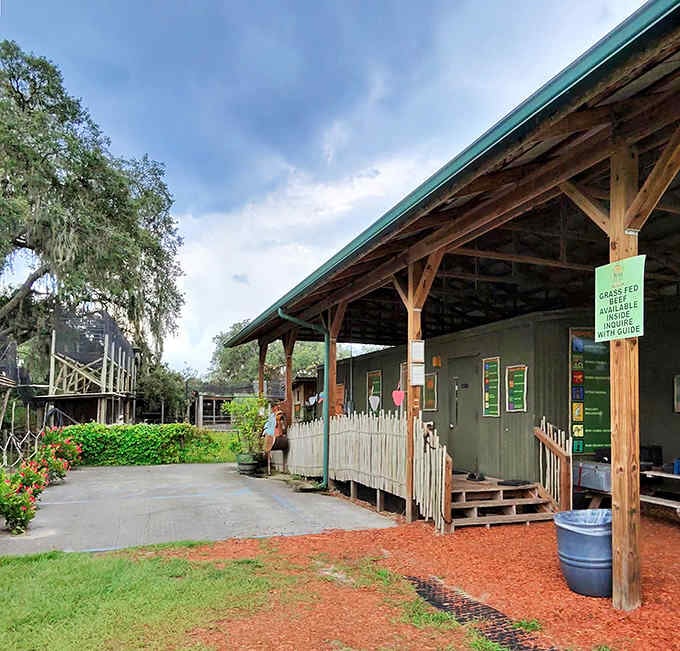 The rustic welcome center sets the tone: this isn't Disney, and that's exactly the point.
