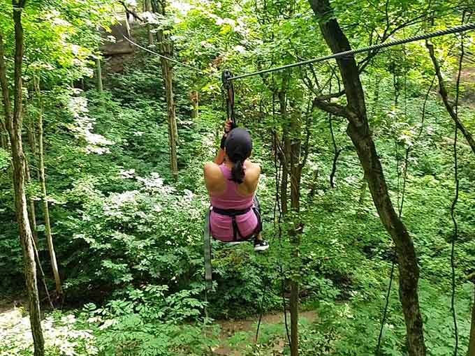 Soaring through emerald canopy on a zipline beats any midlife crisis sports car, trust me on this.