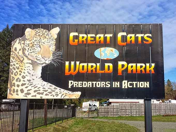 That "Predators in Action" tagline isn't kidding around, folks. This is the real deal in Cave Junction.