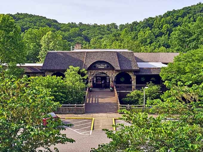 The lodge sits nestled in the hills like it grew there naturally, offering views worth canceling plans for.