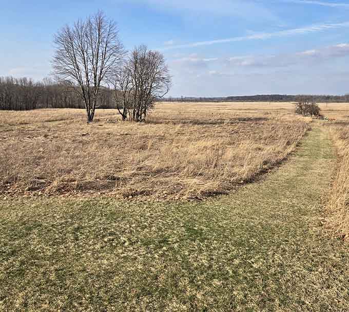 Wide open spaces where the sky meets earth, and thousands of cranes decide this is worth the layover.