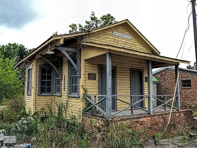The old depot leans like it's had one too many, nature slowly reclaiming what commerce once built with such confidence.