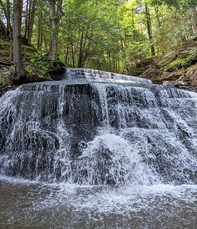 When water decides to show off, this is what happens—pure, rushing beauty in motion.