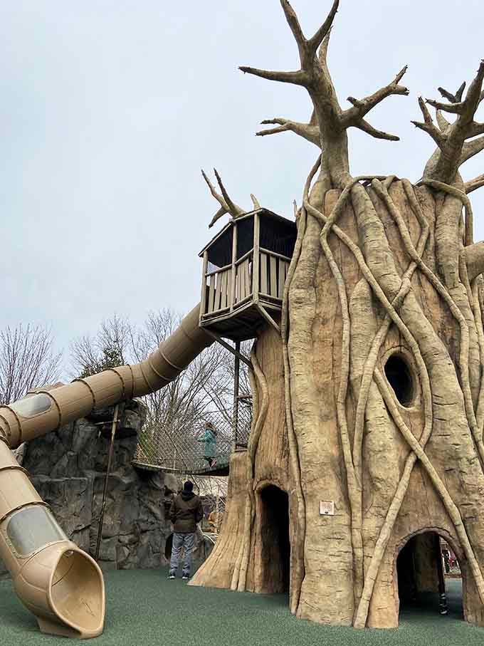 This treehouse playground looks like something straight out of a fantasy novel, minus the dragons.