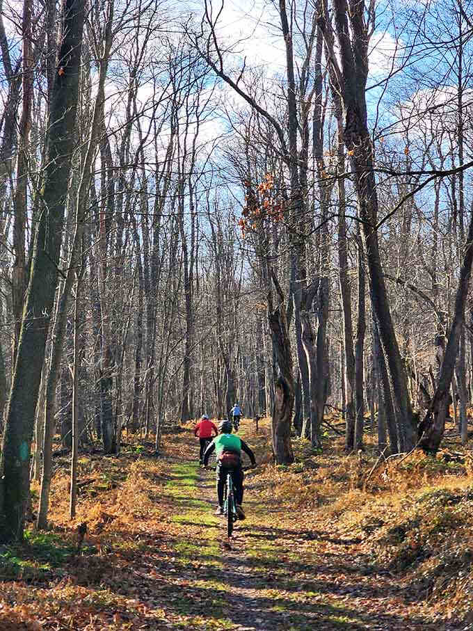 Mountain biking through autumn woods where the only traffic jam involves falling leaves and deer crossings.