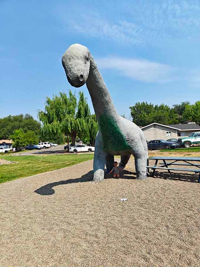 That magnificent neck reaches for the sky like it's trying to order from the world's tallest drive-through window.