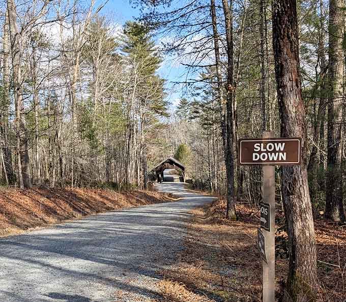 That "SLOW DOWN" sign isn't just a suggestion &ndash; it's an invitation to savor what's ahead.