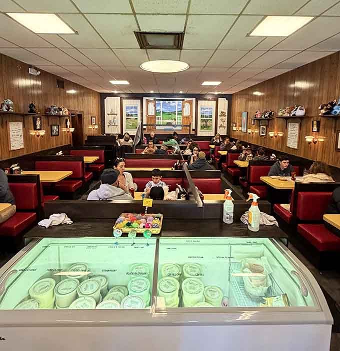 Wood paneling and red vinyl booths create a time capsule where smartphones feel delightfully out of place.