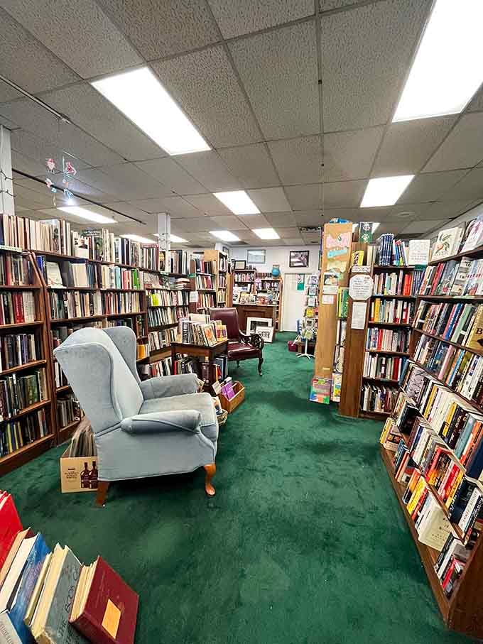 Sink into one of those comfy armchairs surrounded by towering shelves and watch the hours vanish.