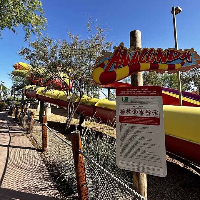 The Anaconda slide: where you'll race your family and discover who's been secretly training at the gym.